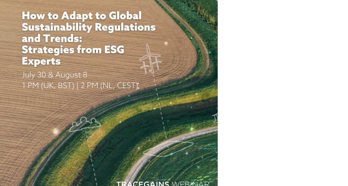 How to Adapt to Global Sustainability Regulations and Trends ...